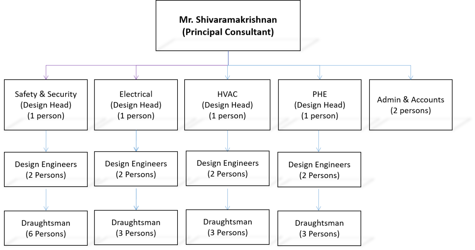 Organization Team - SS Consult